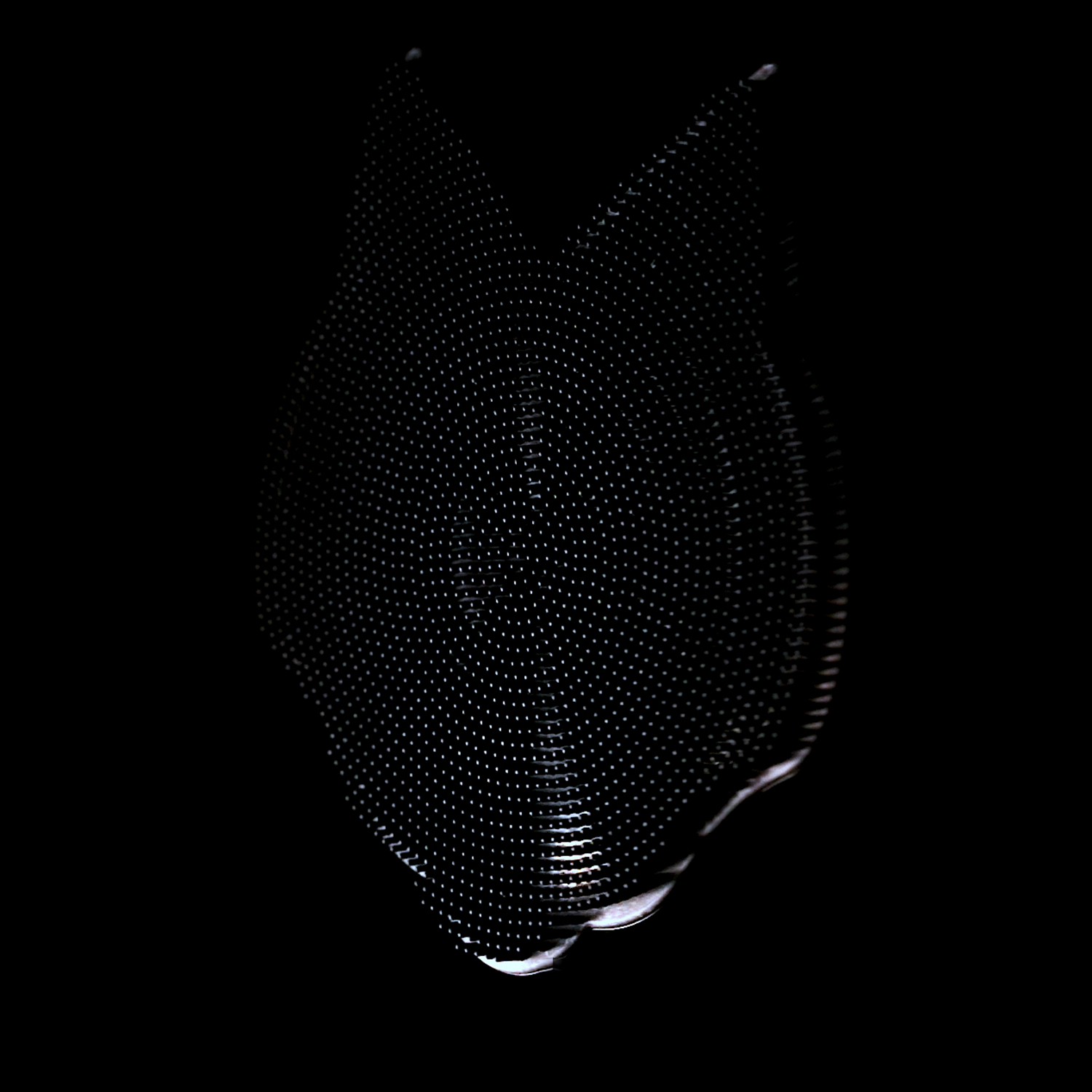 Men's Body Scrubber - Silicone Body Scrubber – Black Wolf